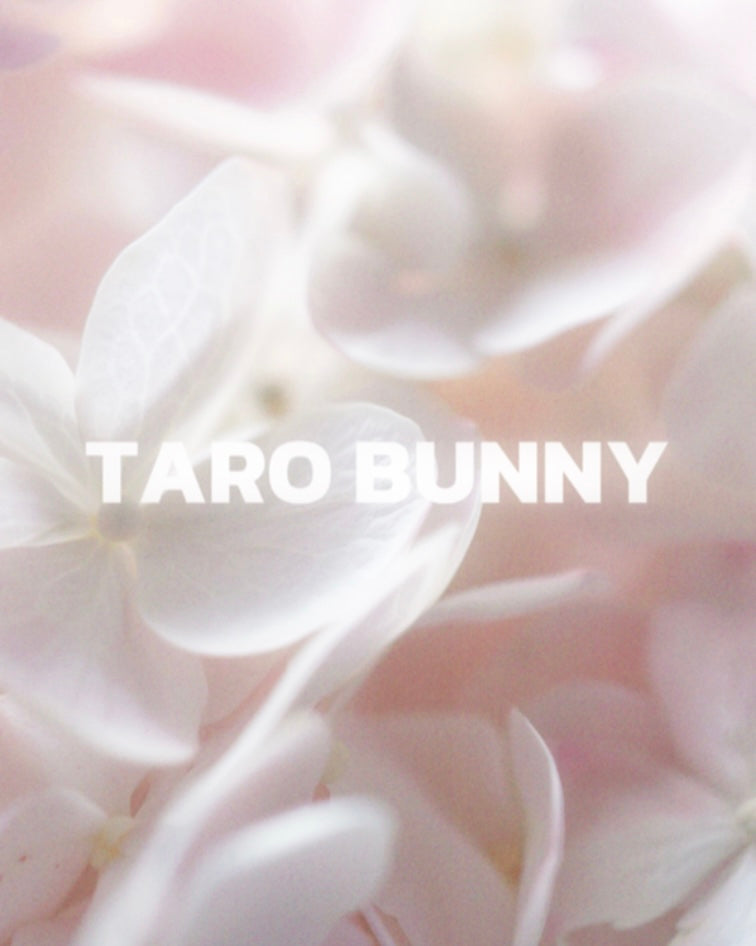 COLOR BASE – TARO BUNNY